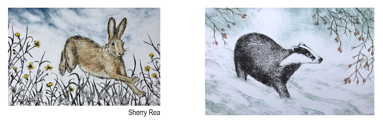 Cambridge Drawing Society – Nulla Dies Sine Linea – Draw a line every day