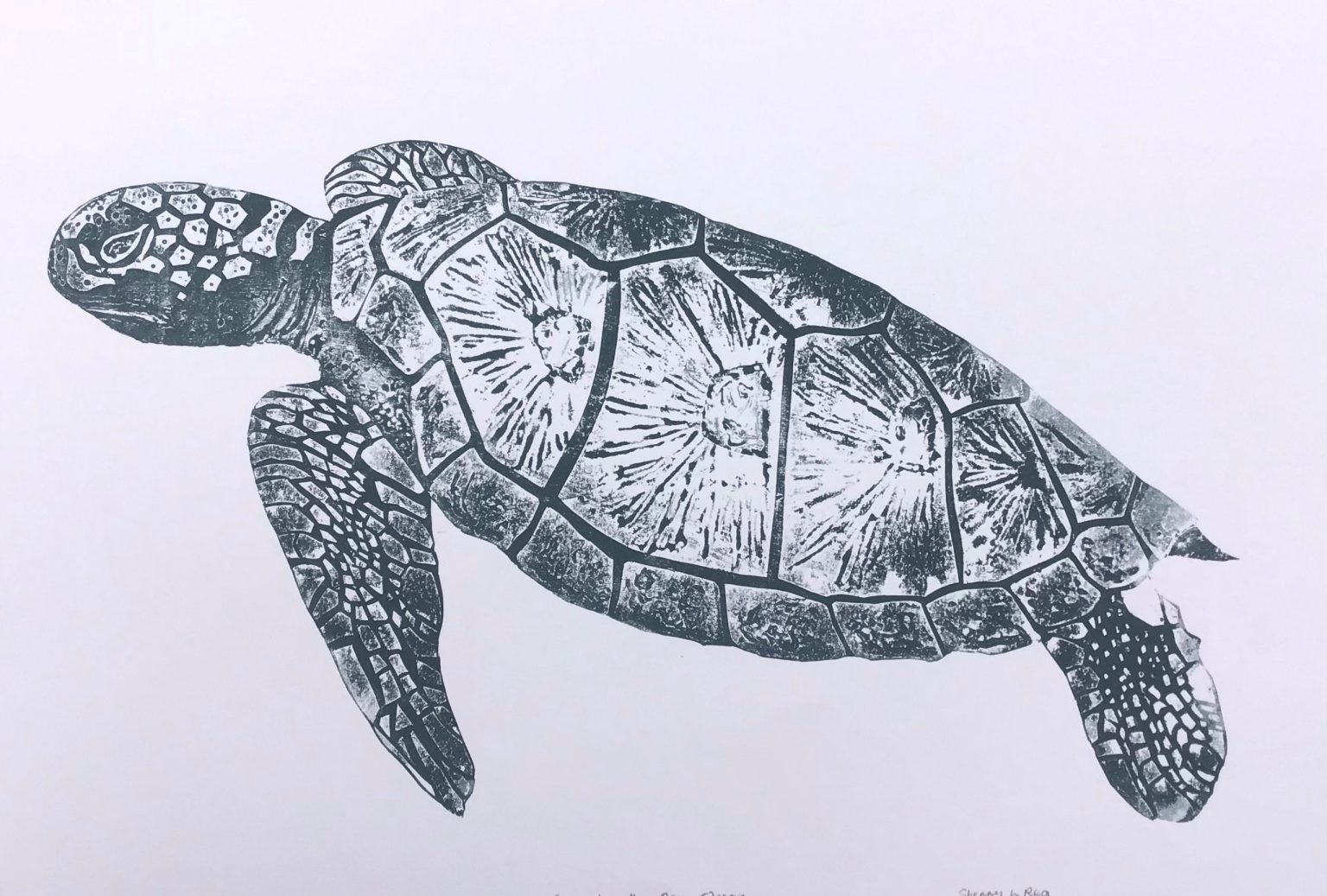 News – Cambridge Drawing Society