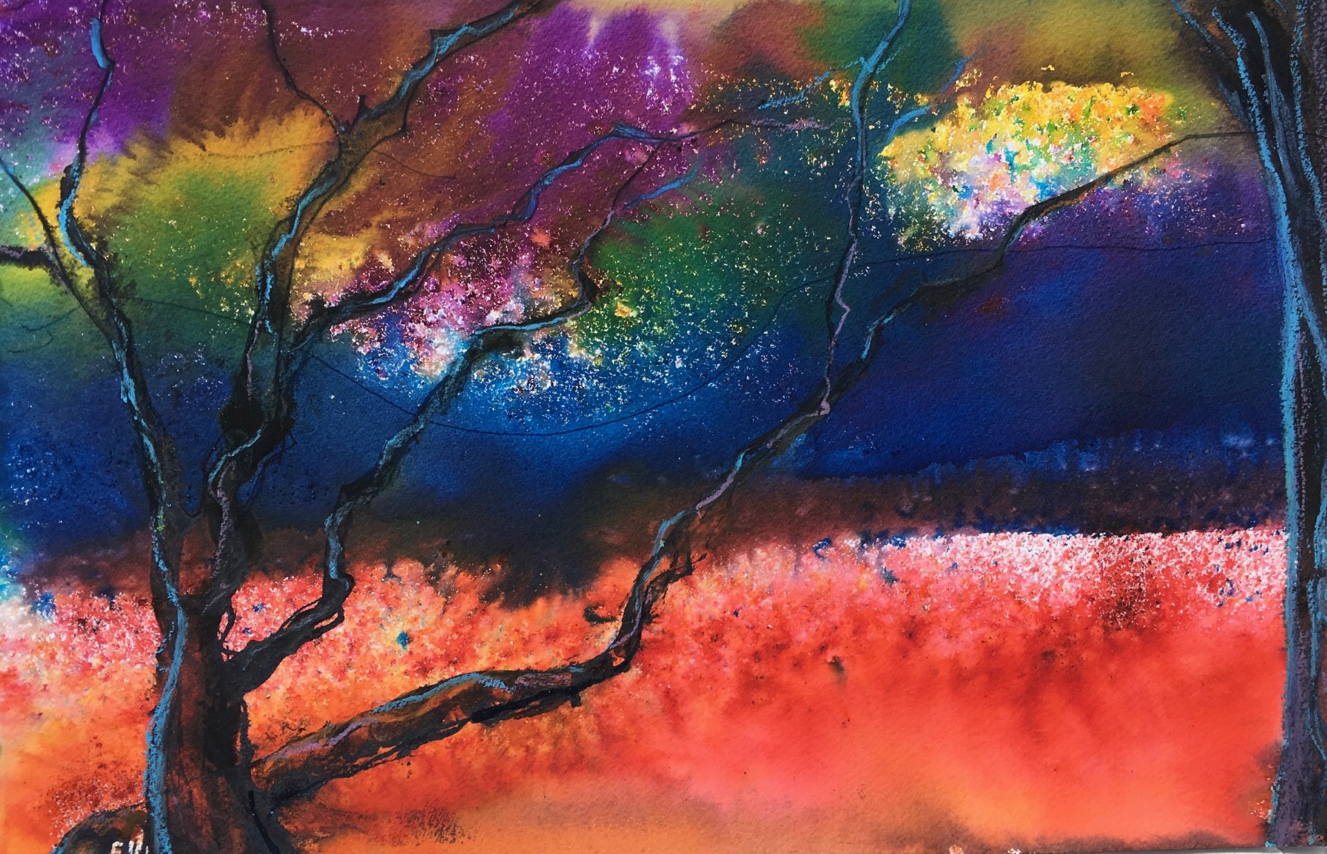 Cambridge Drawing Society – Nulla Dies Sine Linea – Draw a line every day