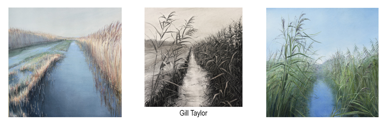 Events – Cambridge Drawing Society