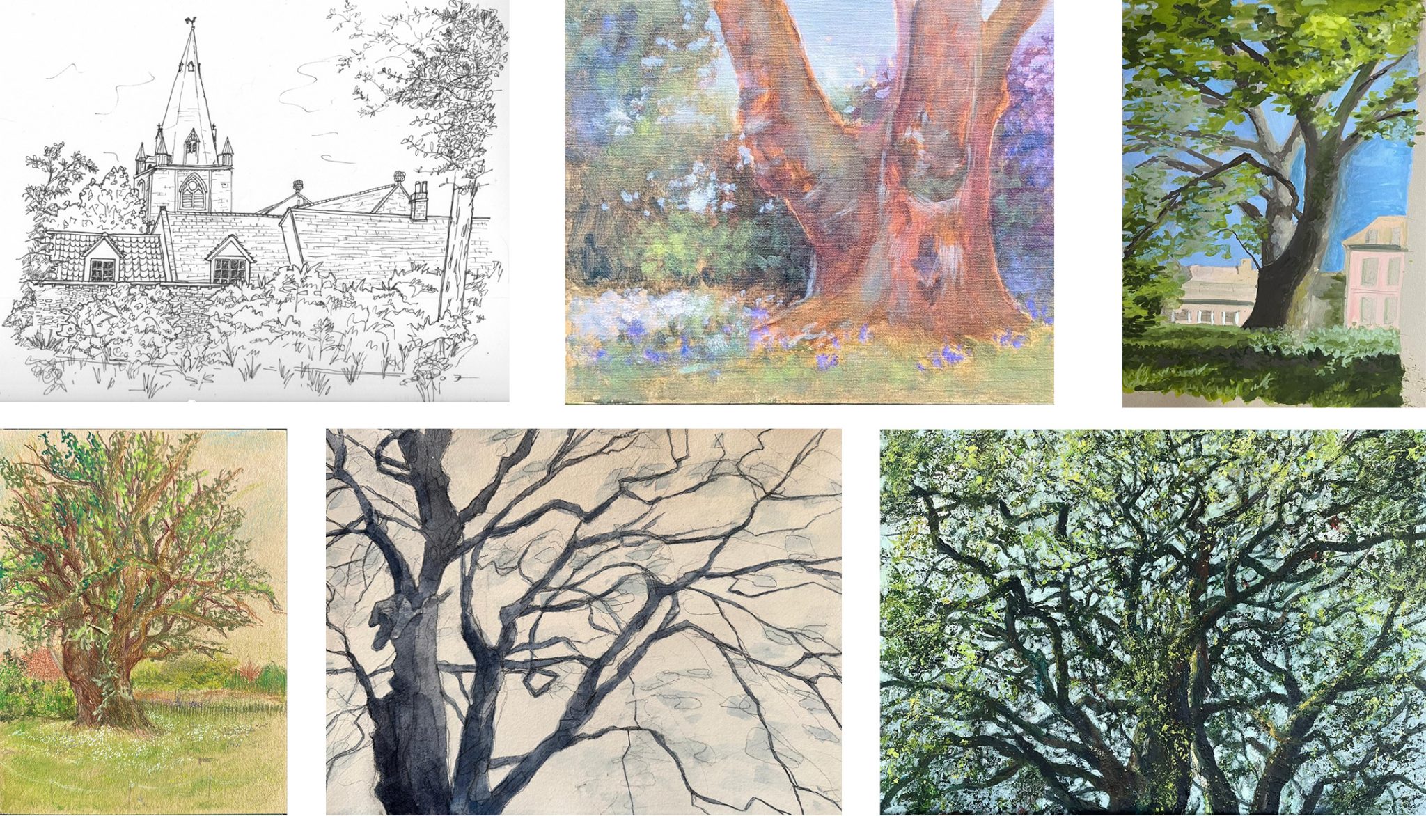 Cambridge Drawing Society – Nulla Dies Sine Linea – Draw a line every day
